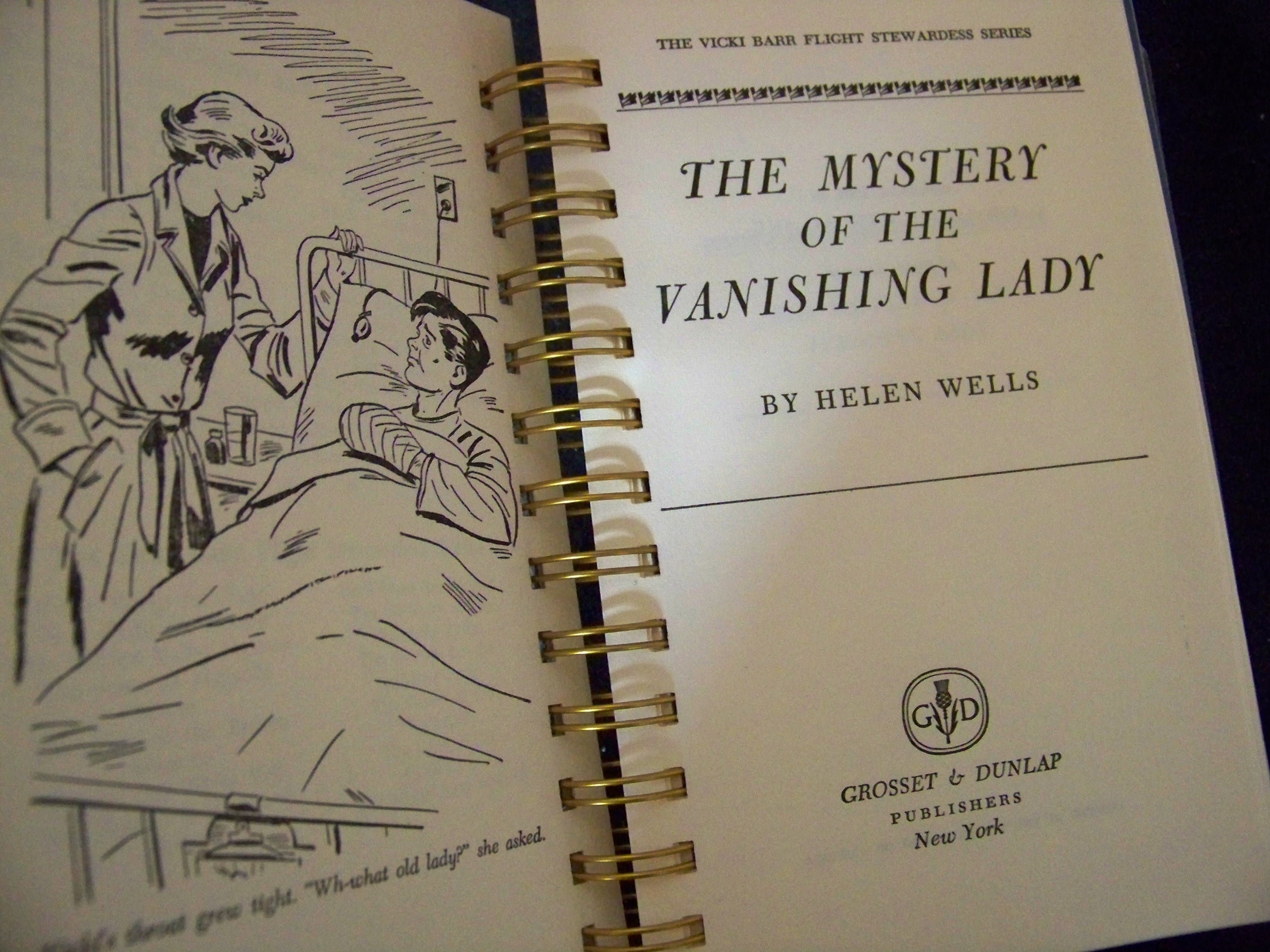 Vicki Barr Flight Stewardess Vintage Book Journal Diary Planner ...