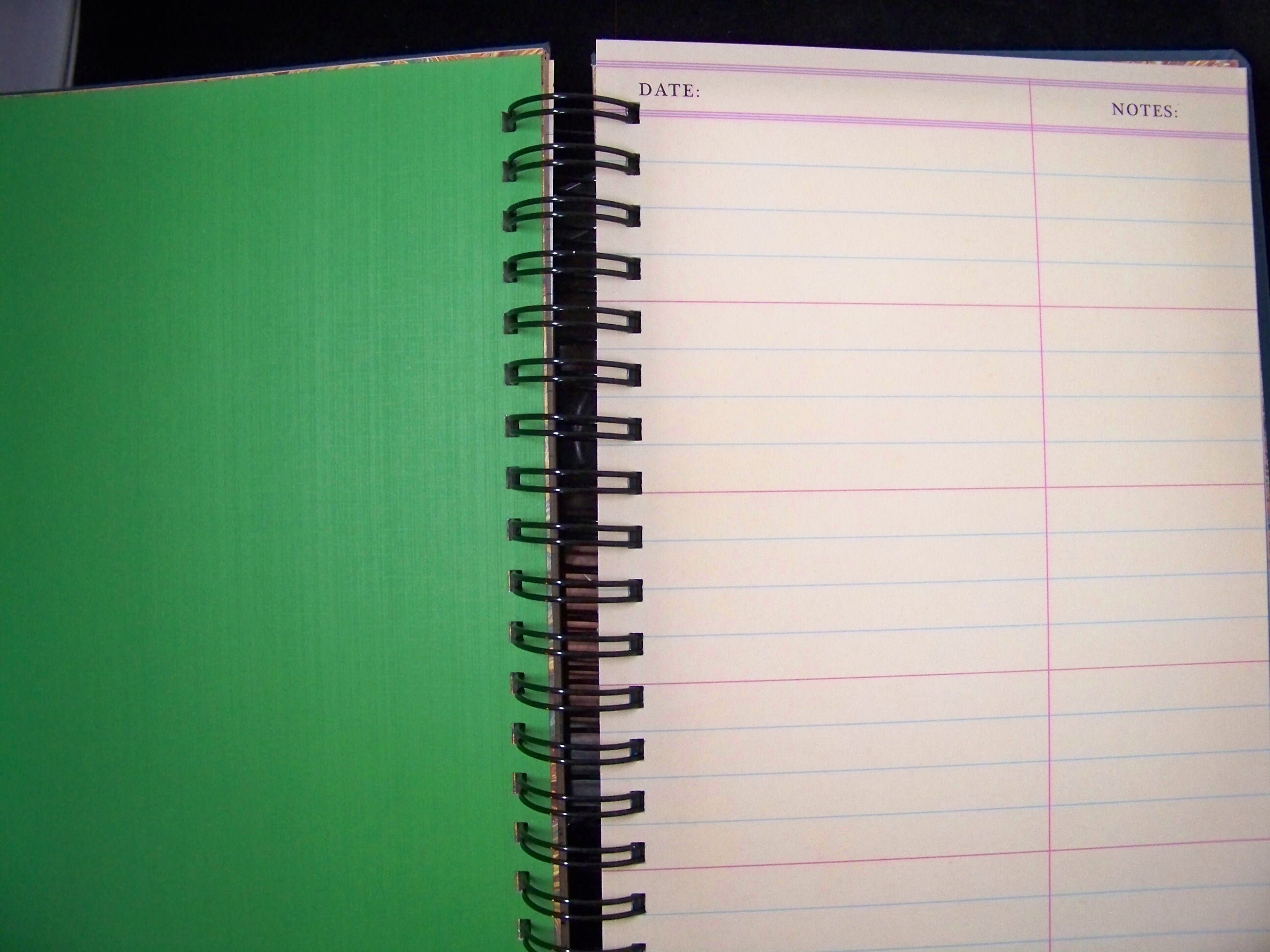 Ledgerbook of Thomas Blue Eagle Blank Book Diary Journal Native ...