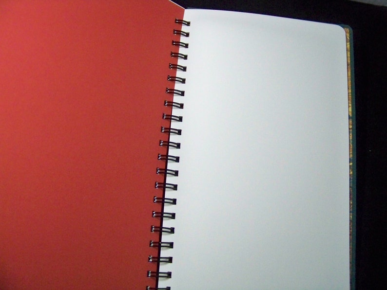 Ledgerbook of Thomas Blue Eagle Blank Book Diary Journal Native ...