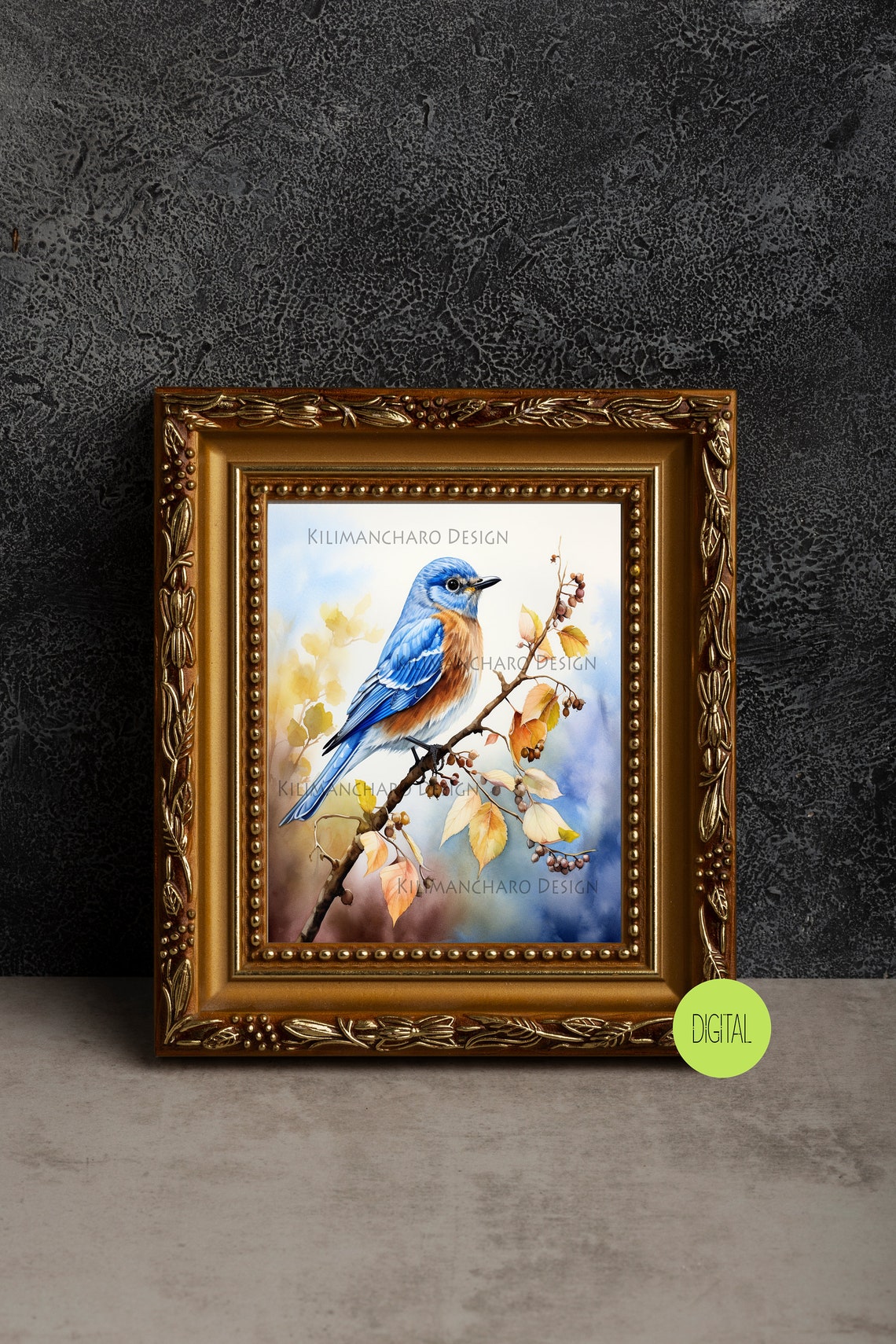 Eastern Bluebird Illustration Art - Etsy