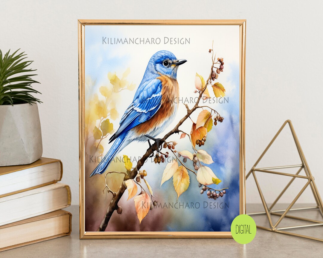 Eastern Bluebird Illustration Art - Etsy