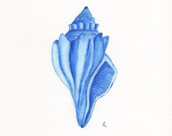 Watercolor Mussel Shell Print Shell Art Blue Shell Print - Etsy