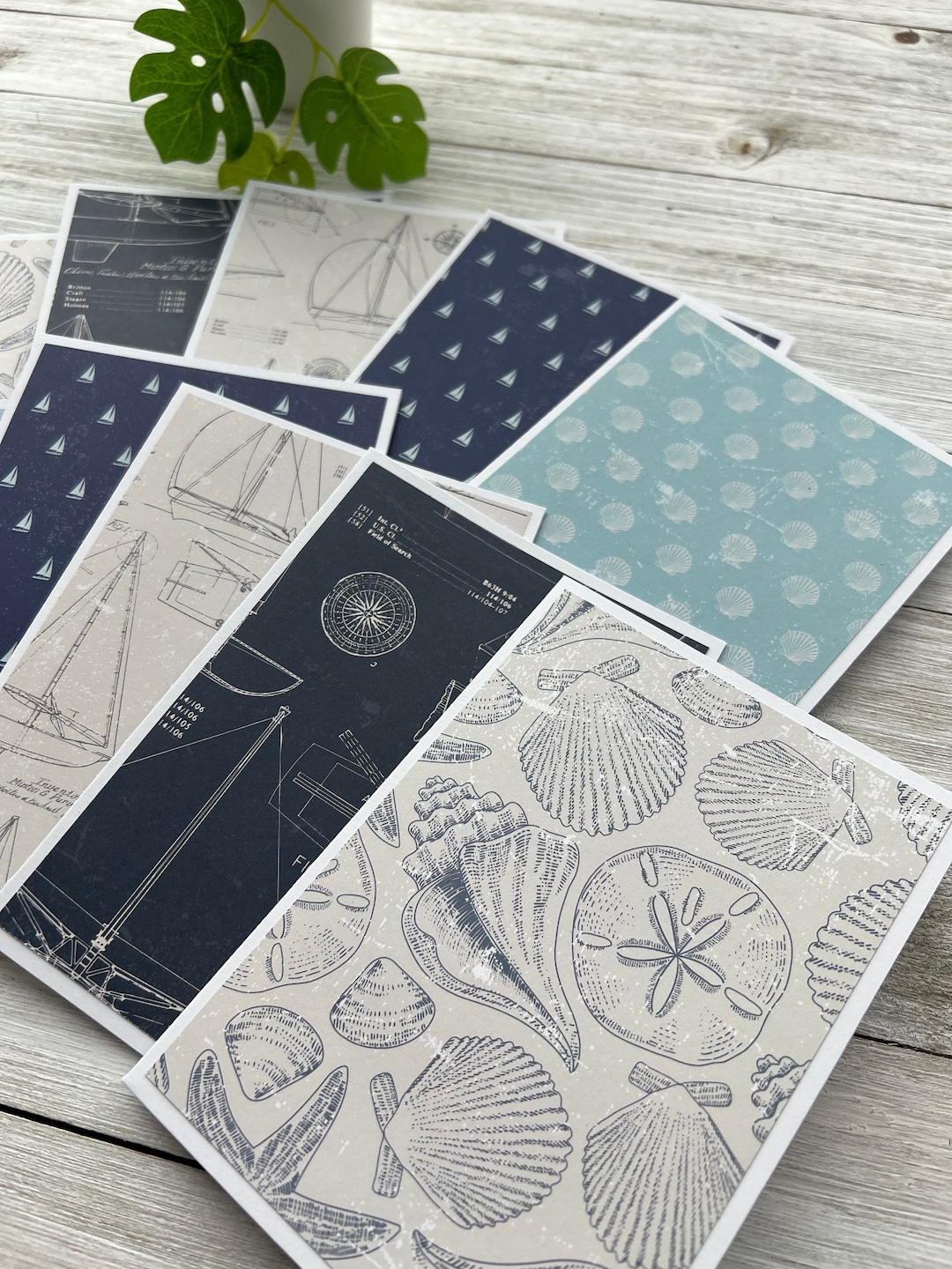Note Cards Set of 10 ~ Coastal Beach ~ Sailboat ~ Seashells ~ Thank You ...