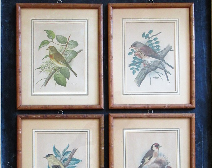 Vintage Framed Bird Prints, Cottage Chic, Country, Rustic and Farmhouse ...