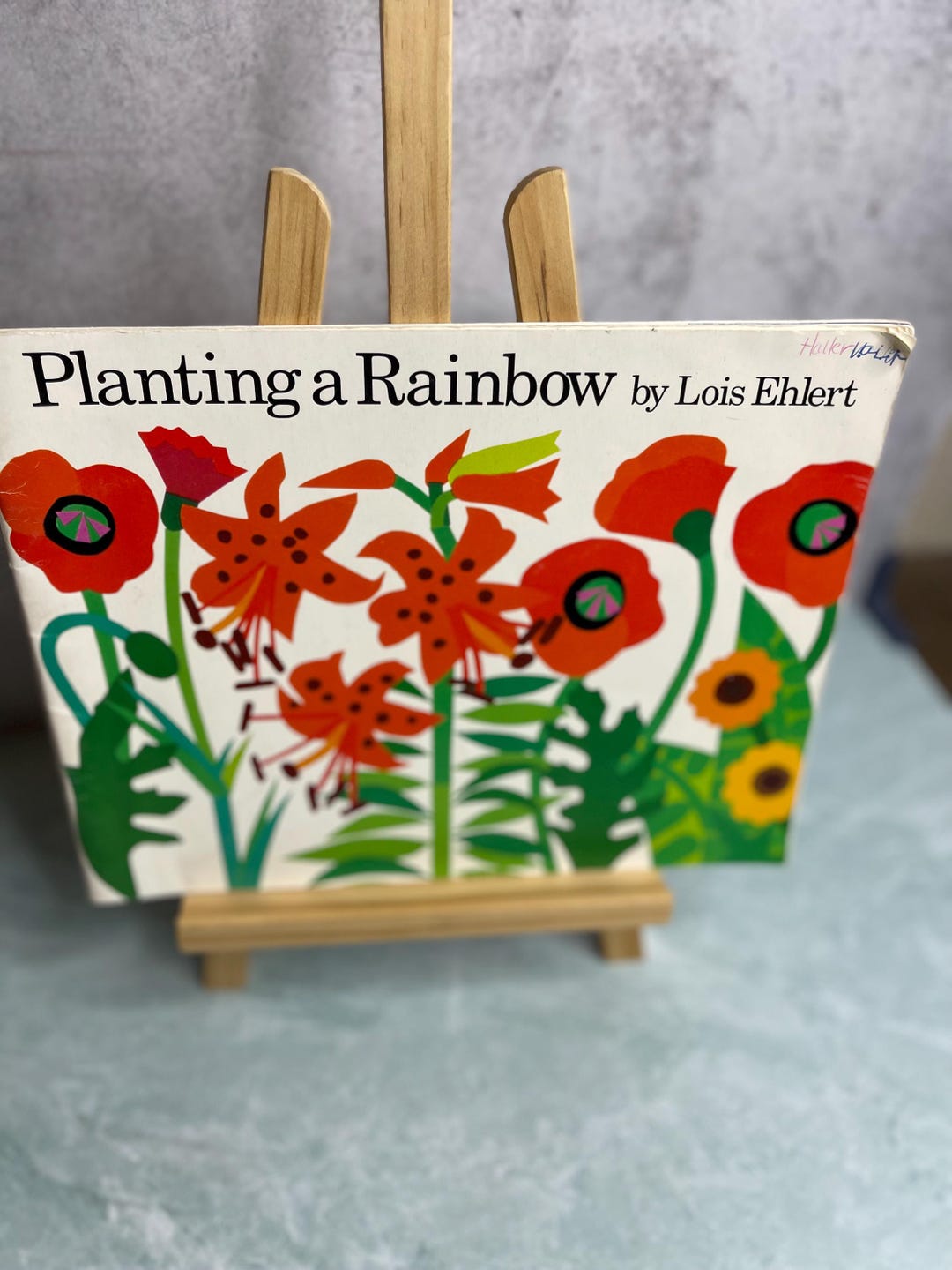 Vintage 1992 Planting a Rainbow Book Lois Ehler Paperback - Etsy