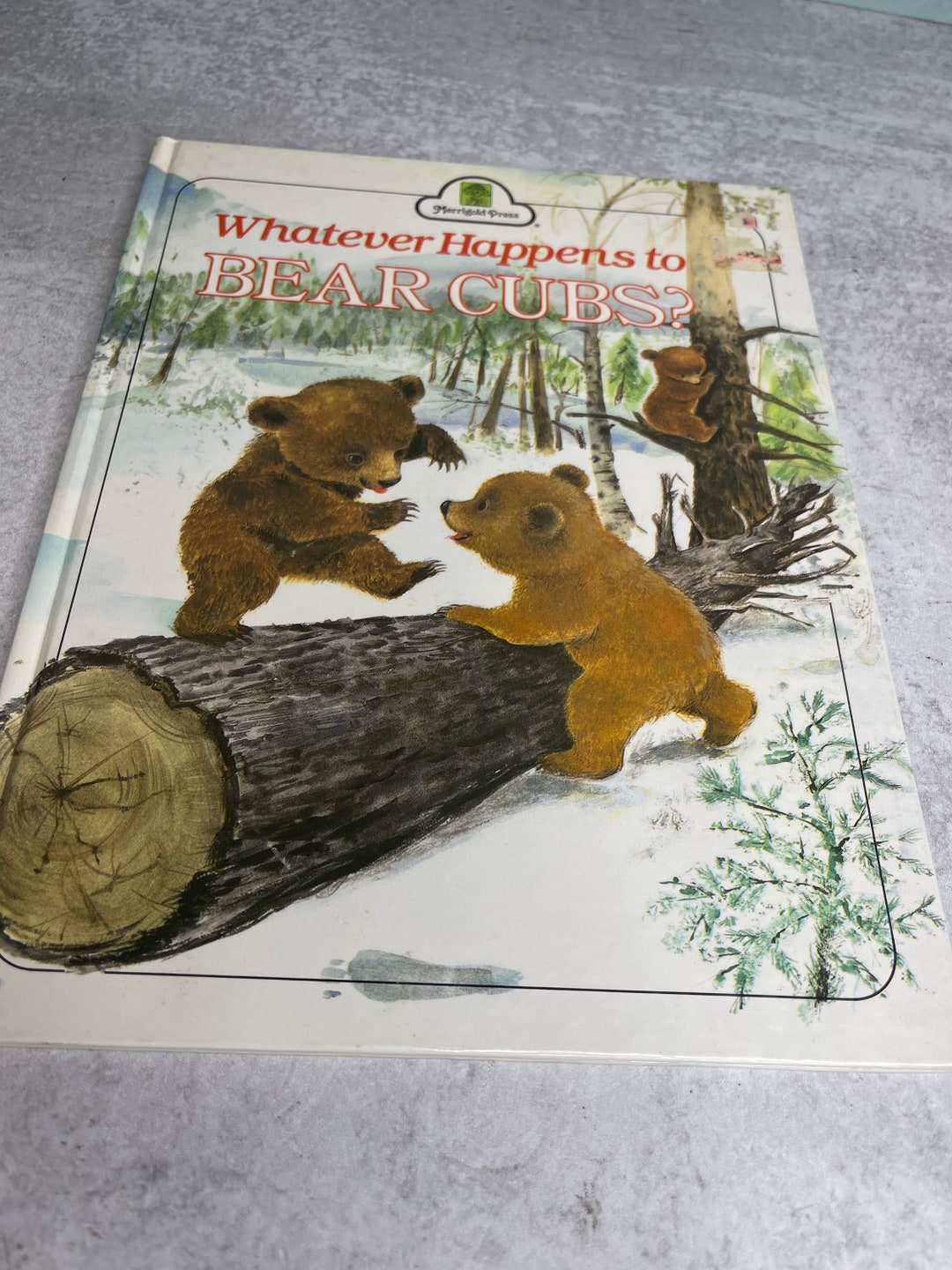 Vintage 1991 Whatever Happens to Bear Cubs Book Hardcover Merrigold ...