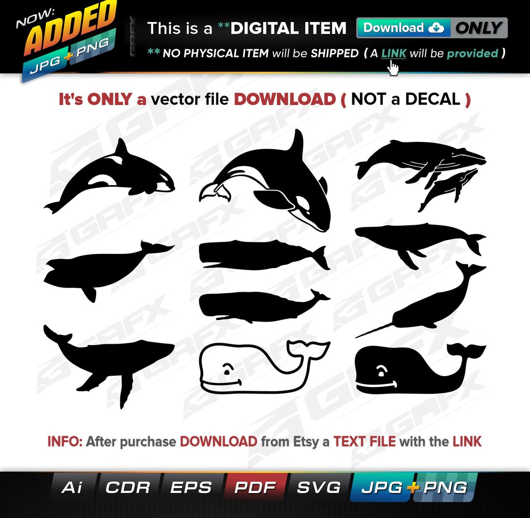 11 Whale Vectors Ai, Cdr, Eps, Pdf, Svg and Also Jpg, Png Instant ...
