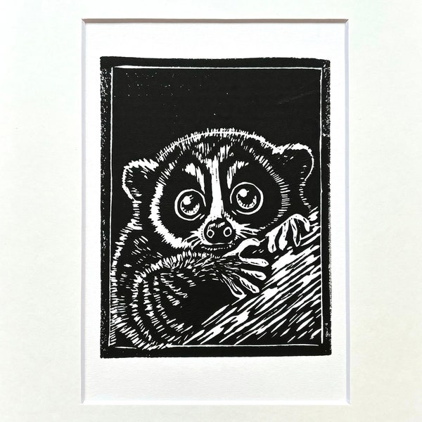 Slow Loris - Etsy
