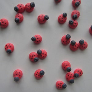 Made to Order | 1 Dozen Mini Royal Icing Ladybugs | 1/2 Inch | 12 ...