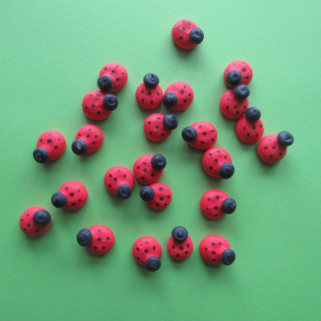 Made to Order | 1 Dozen Mini Royal Icing Ladybugs | 1/2 Inch | 12 ...