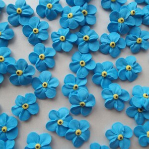 2 Dozen Royal Icing Forget-me-nots 3/4 Inch Sugar Flowers Fondant ...