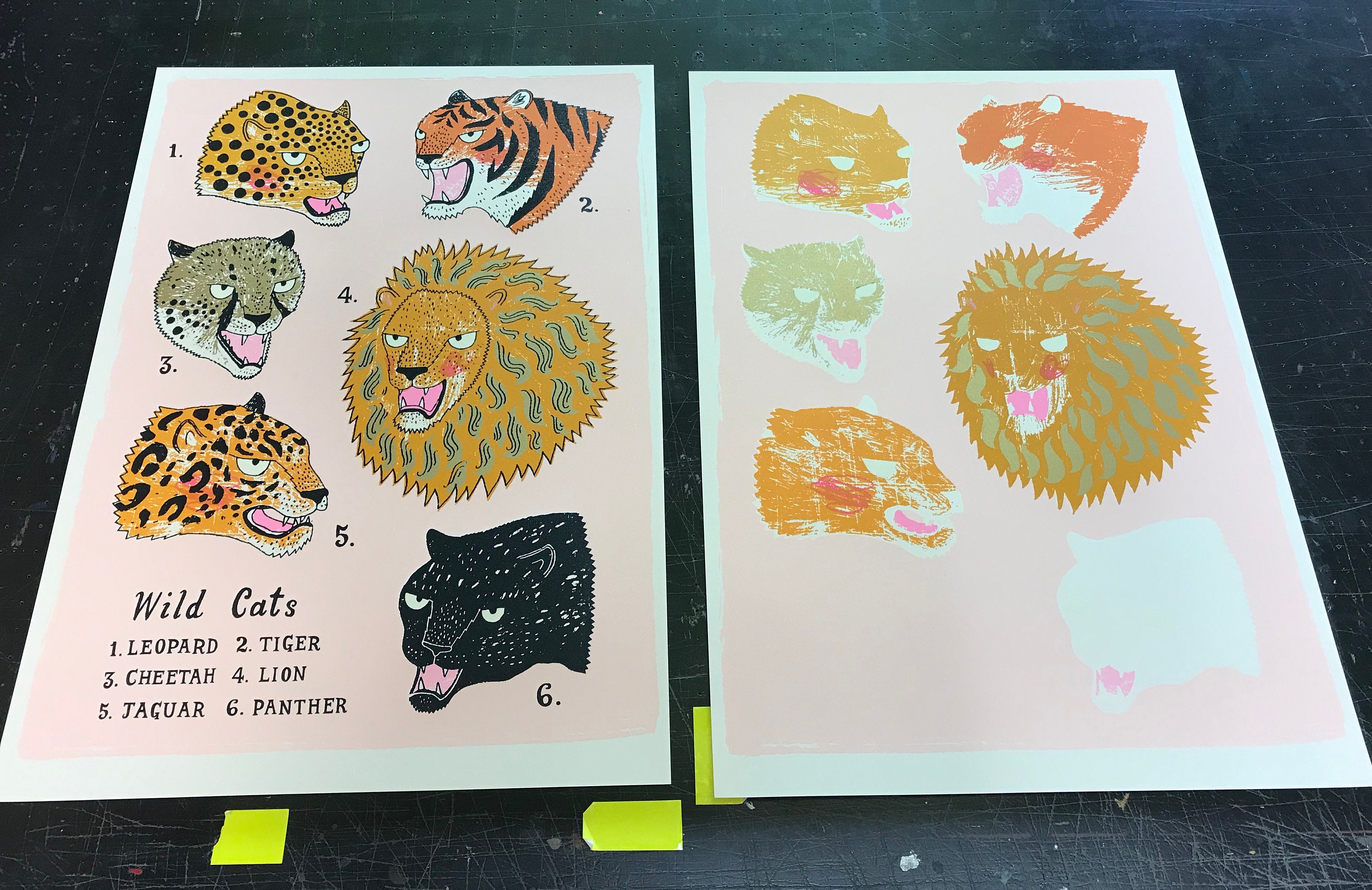 Wild Cat Wallchart - Etsy