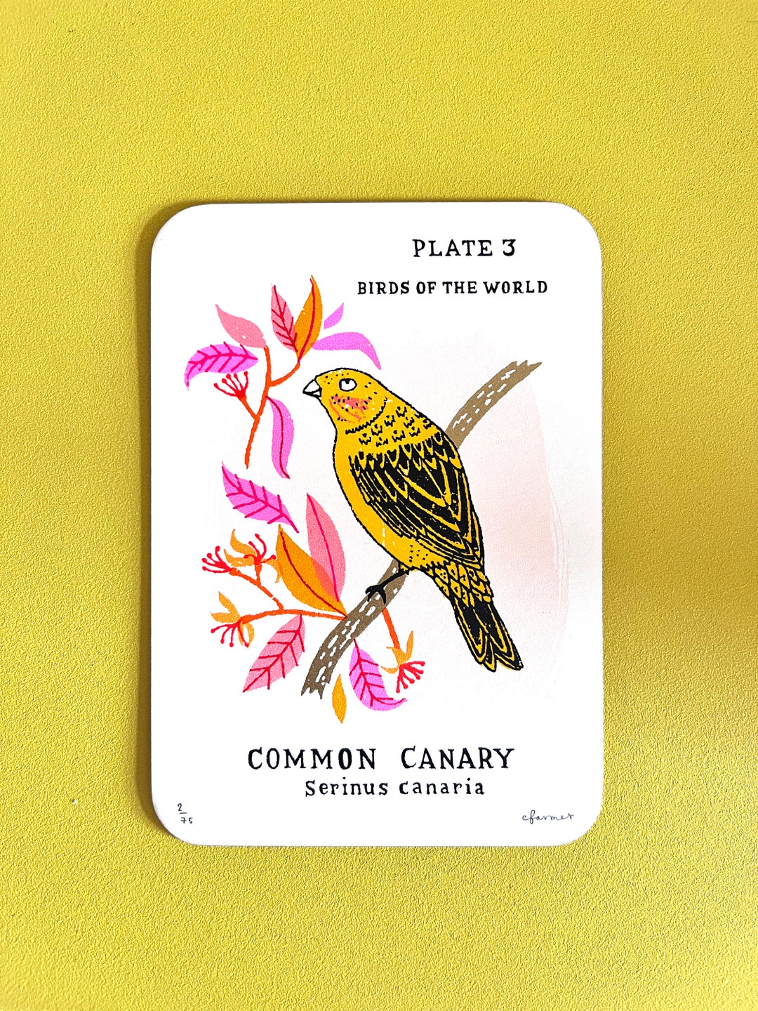 Canary Screen Print on Gold Edge Card - Etsy