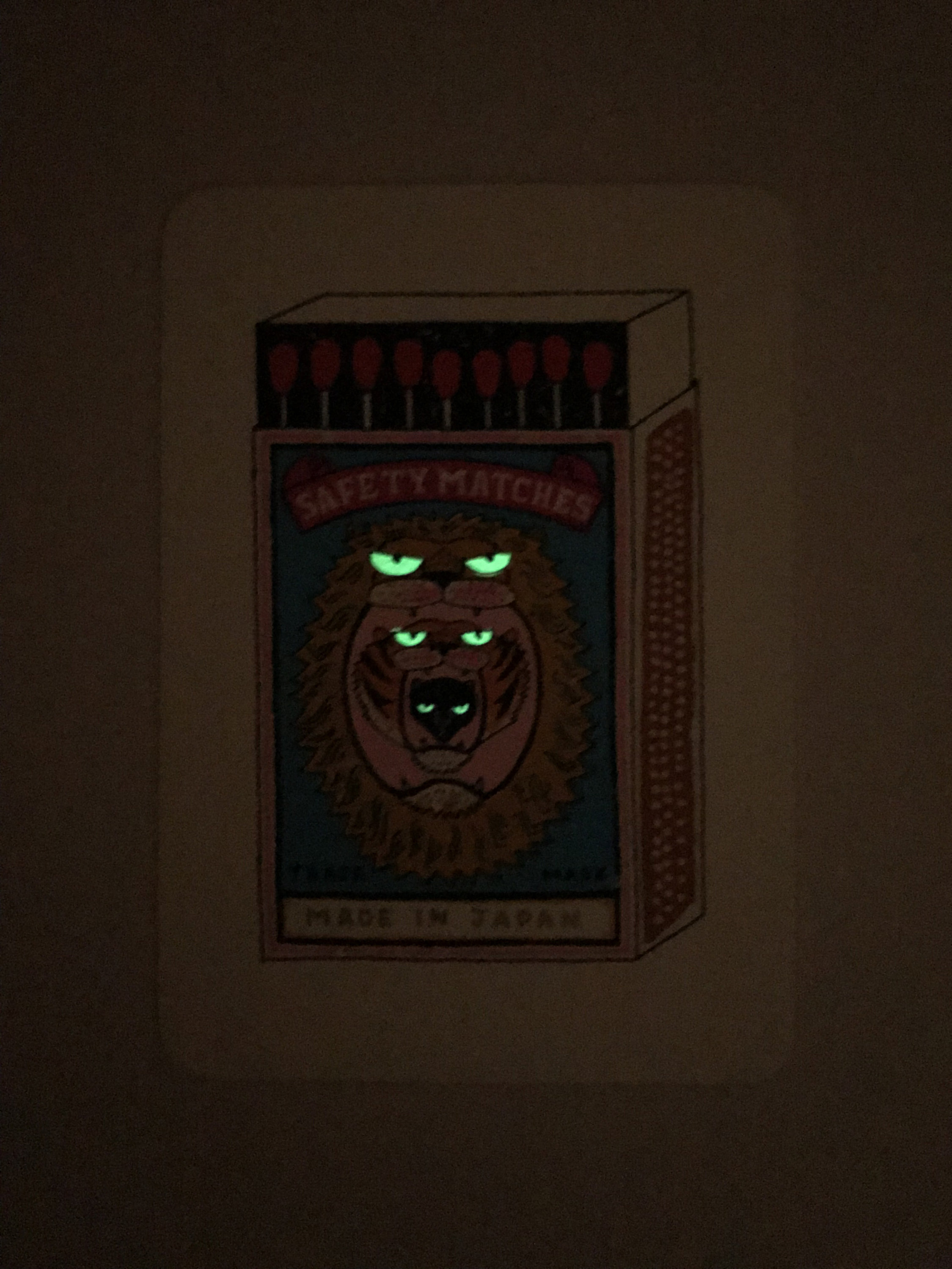 Lion Tiger Panther Matchbox Screen Print Heavy Lunch | Etsy