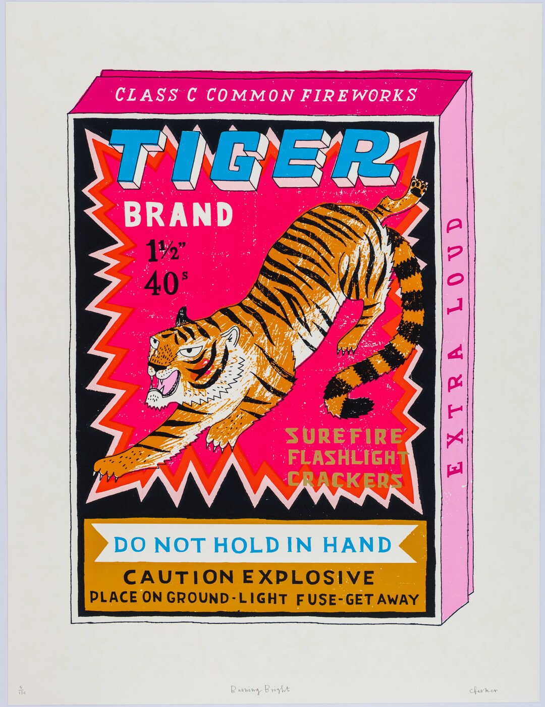 Tiger Firecracker Box Screen Print - Burning Bright - Etsy