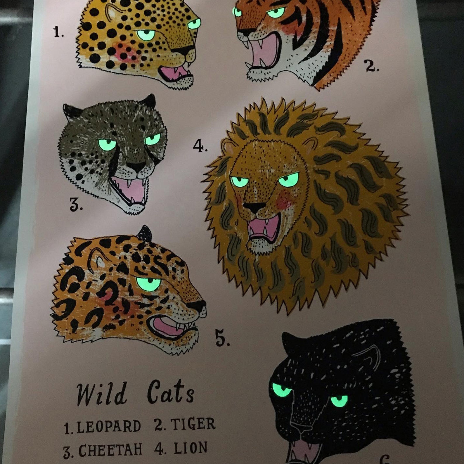 Wild Cat Wallchart - Etsy