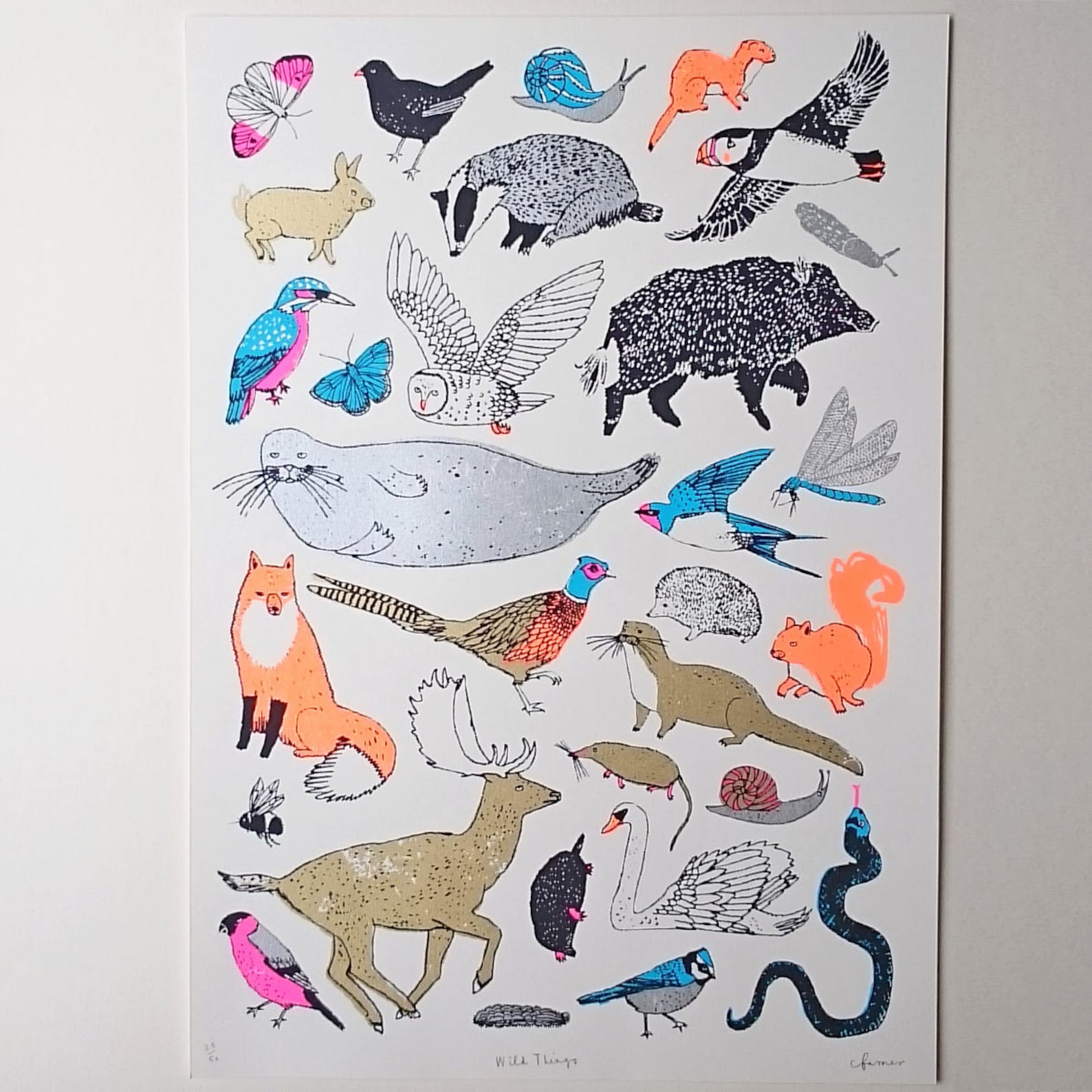 British Wildlife Screenprint - Wild Things - Etsy