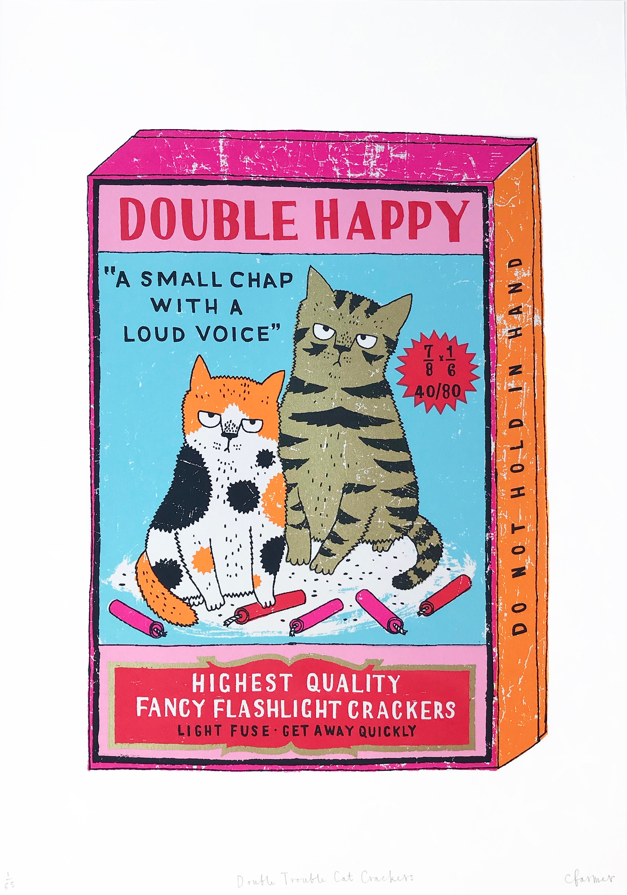 Cat Firecracker Box double Trouble Cat Crackers - Etsy UK