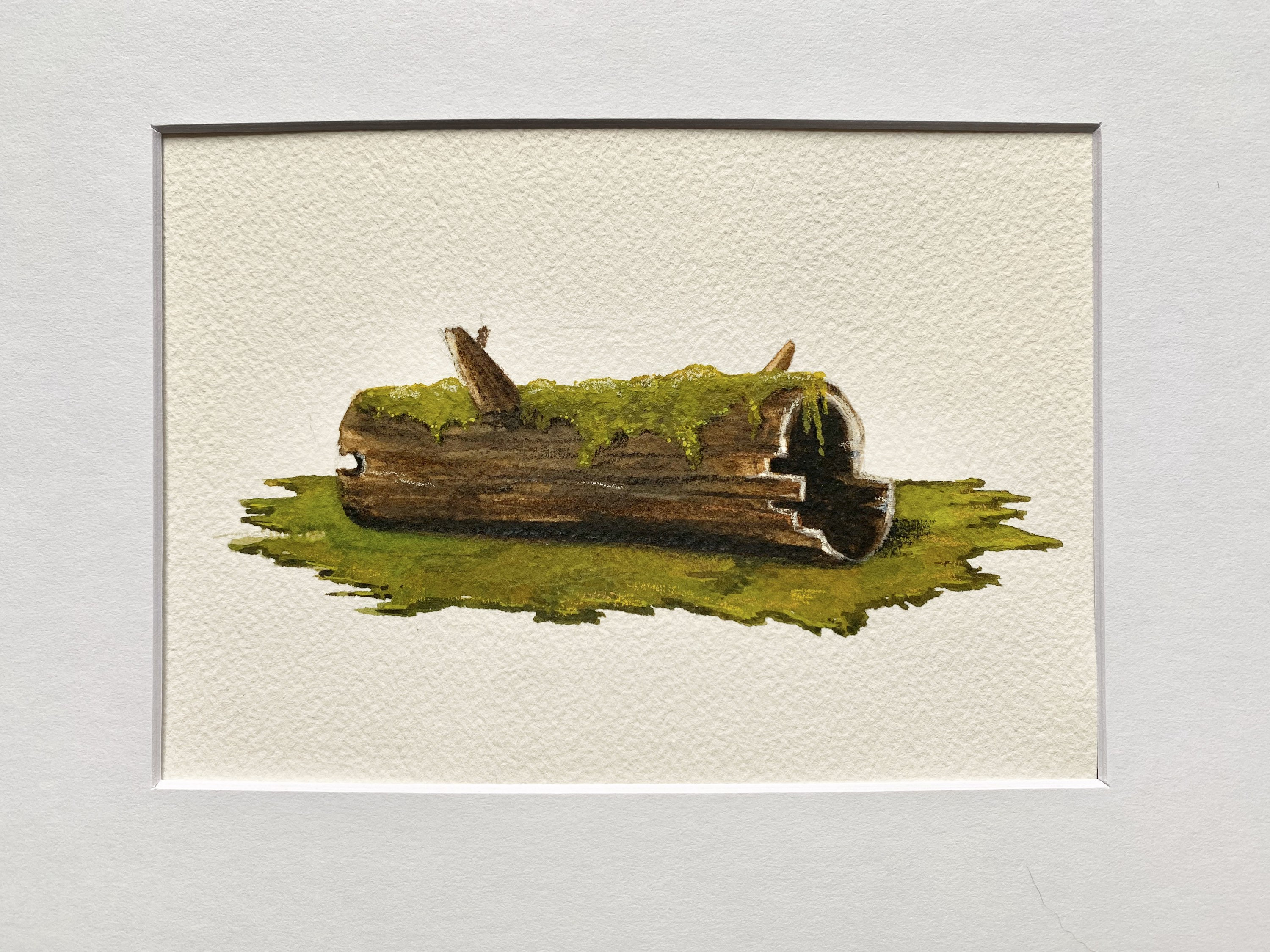 Mossy log original watercolor matted for 8x10 simple art decor | Etsy