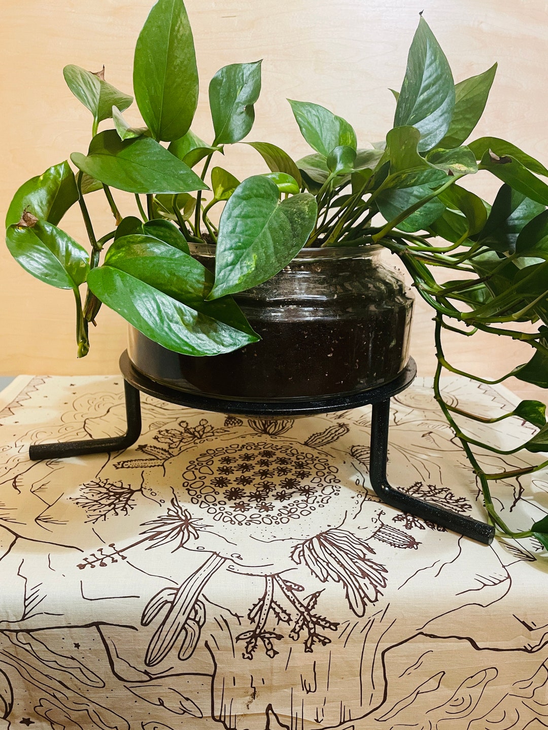 UFO Glass and Steel Planter MCM - Etsy