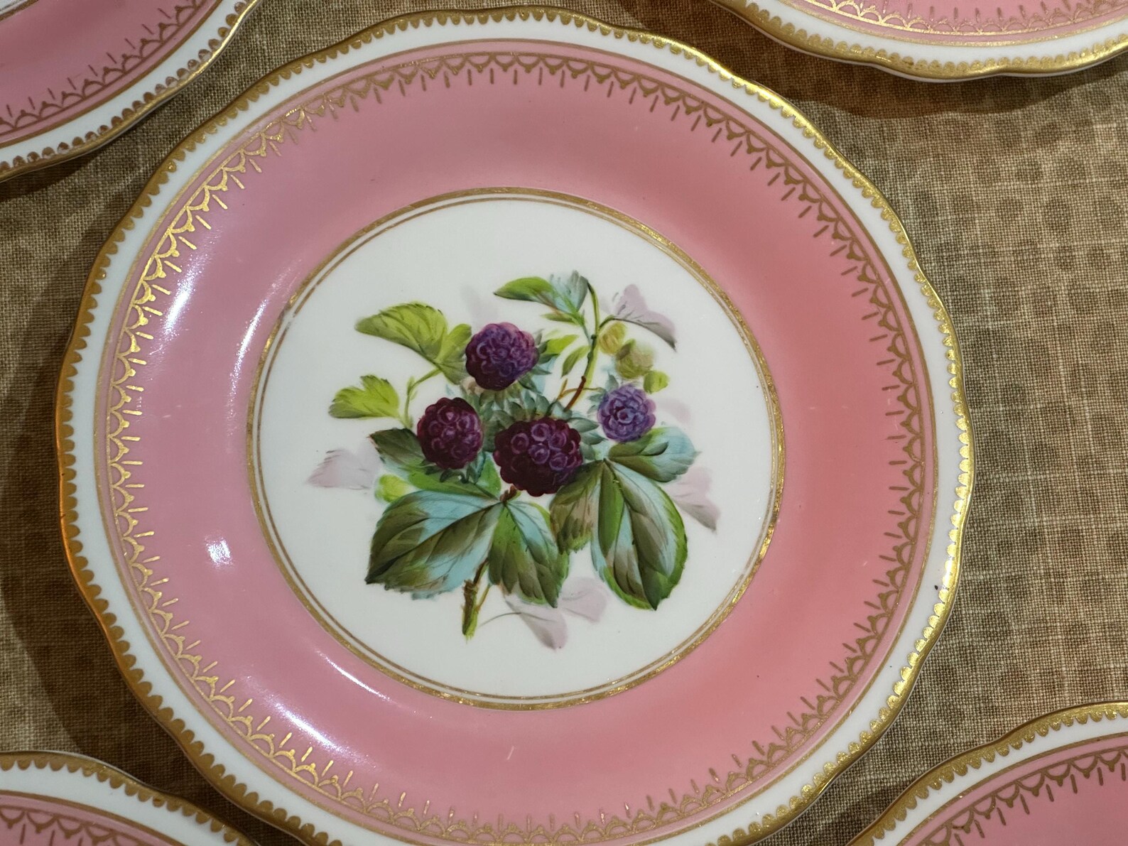 1850 Antique Pink Botanical Fruit Dessert Plates: Gilded Rims - Etsy