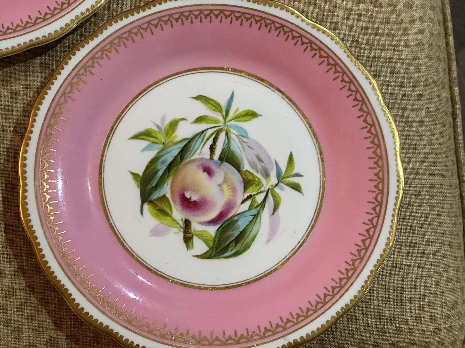 1850 Antique Pink Botanical Fruit Dessert Plates: Gilded Rims - Etsy