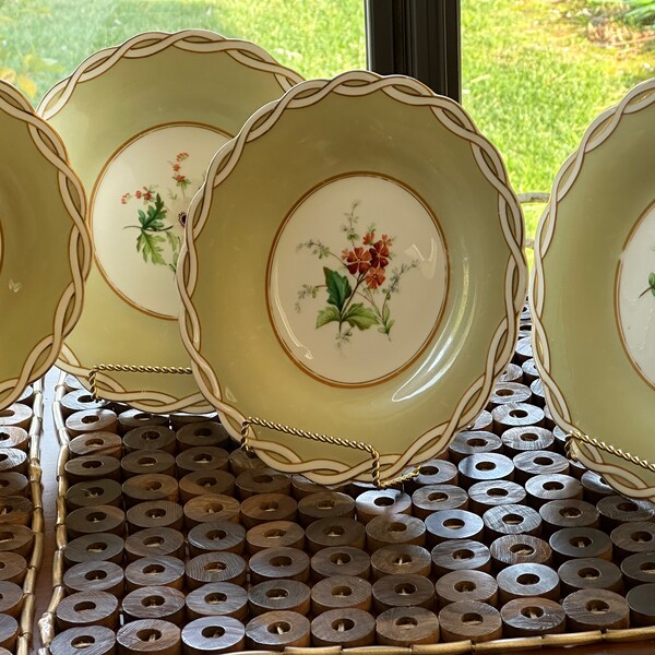 Minton Botanical Plates - Etsy