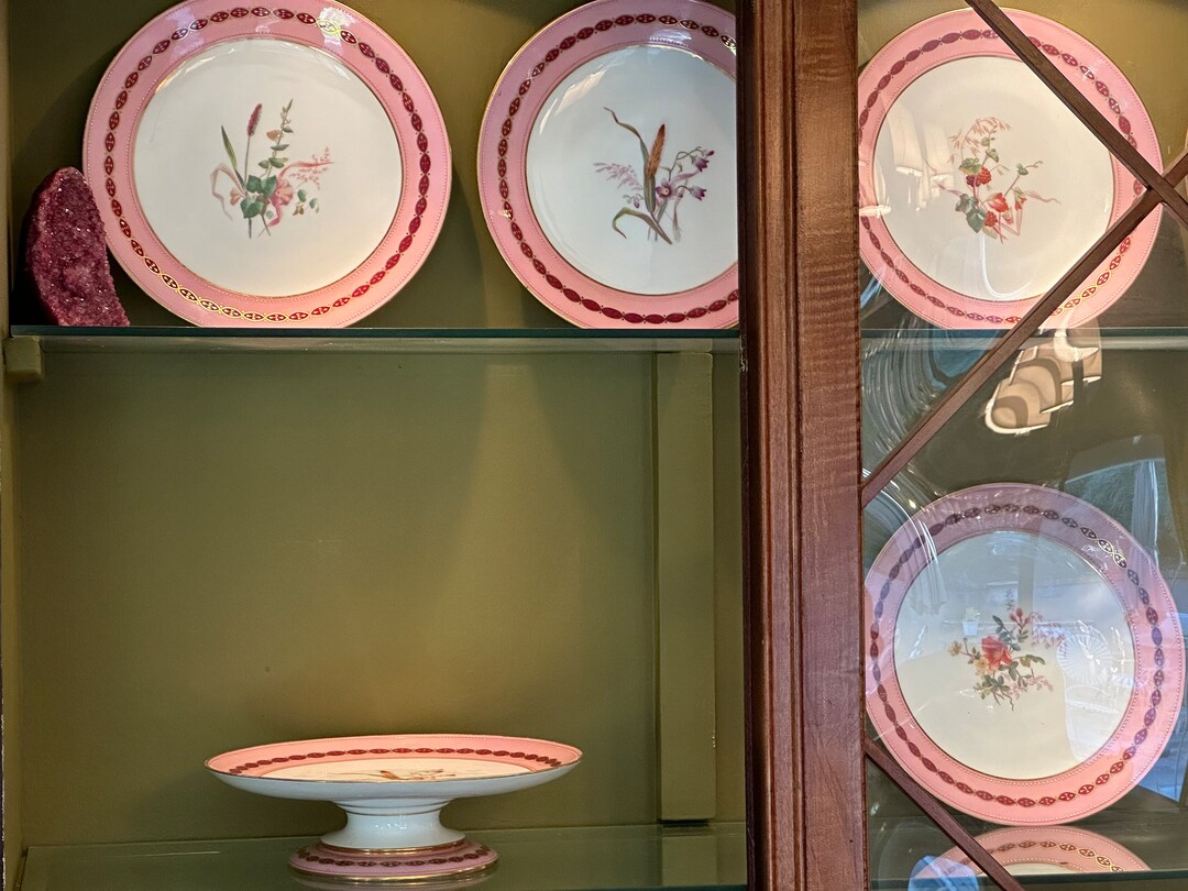 8pcantique Pink Minton Botanical Dessert Set W Hand Painted Wildflowers ...