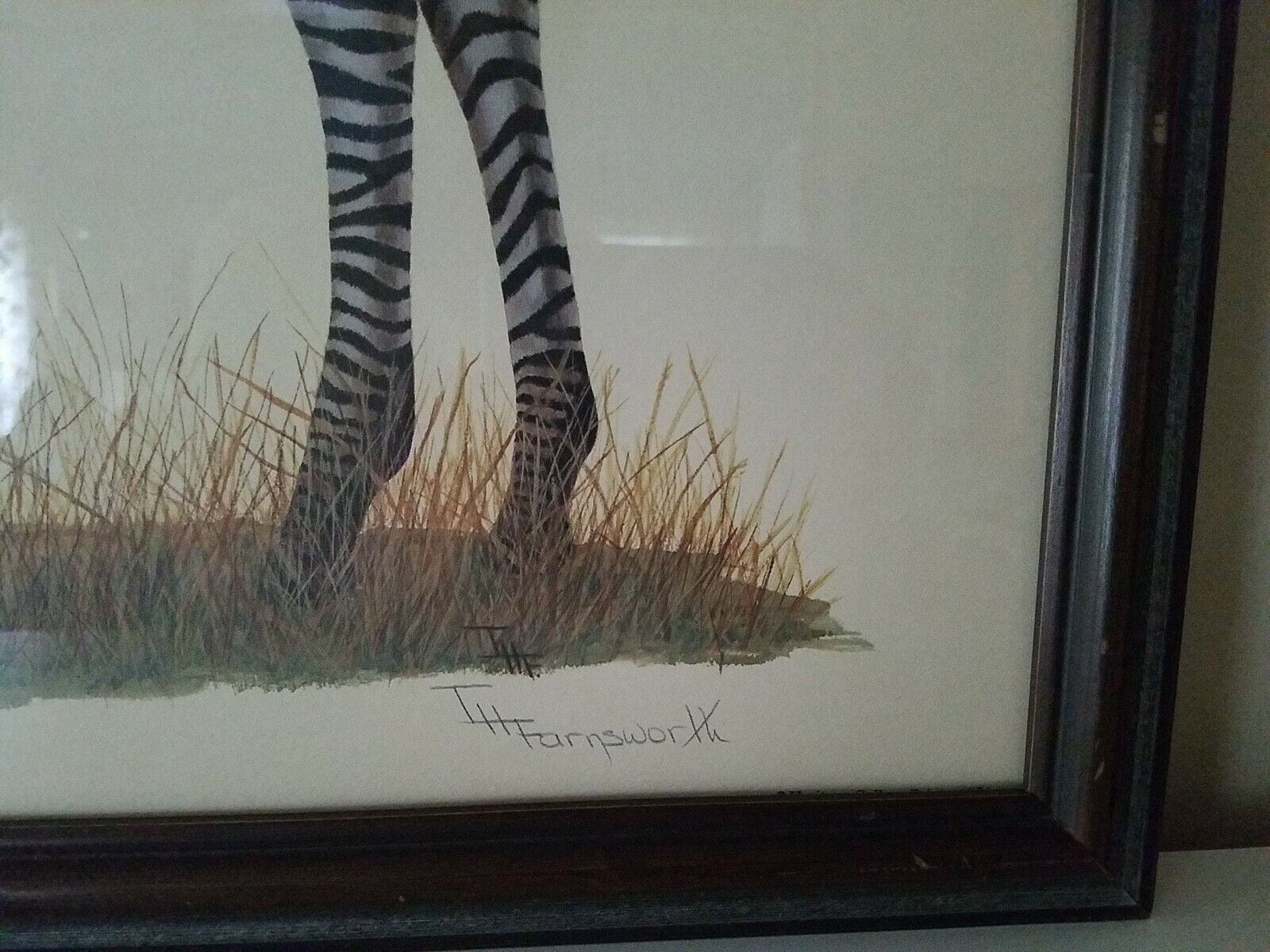 Baby Zebra Art Print by T.H. Farnsworth Signed and Numbered 26x22 Frame ...