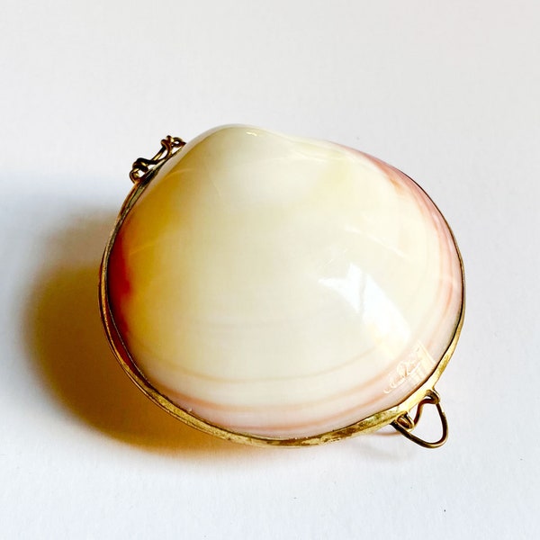 Shell Coin Purse - Etsy