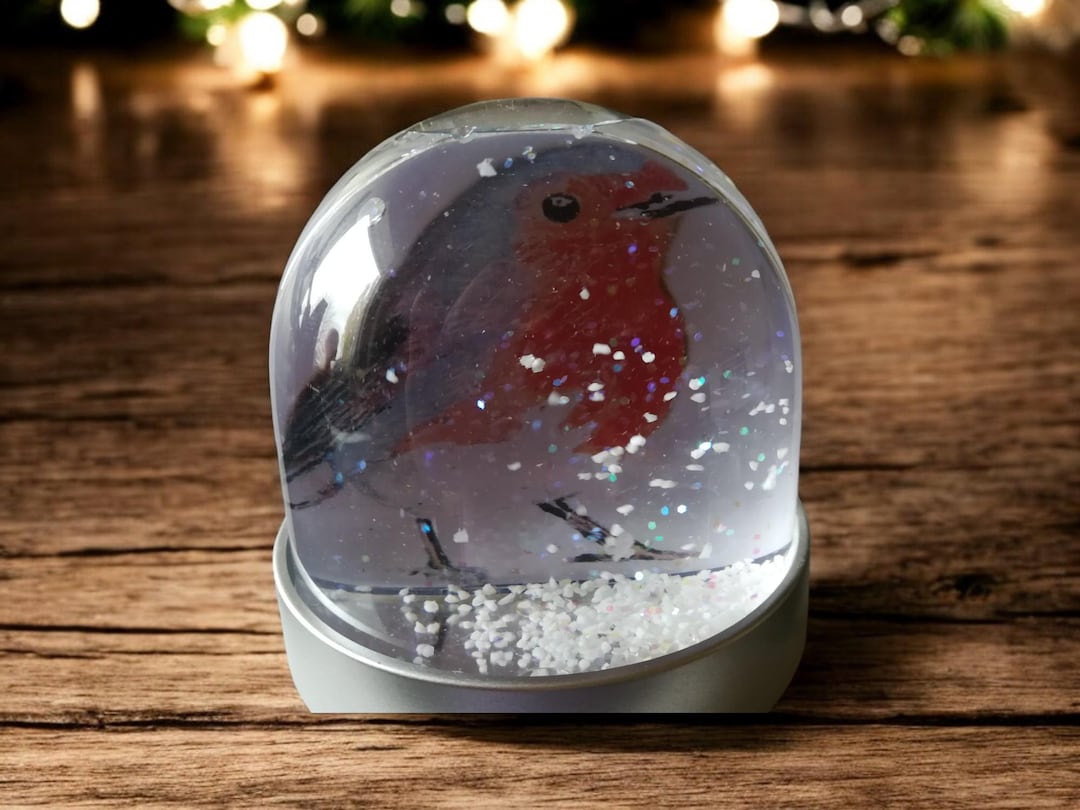 Snow Globe Robin Snow Globe - Etsy UK