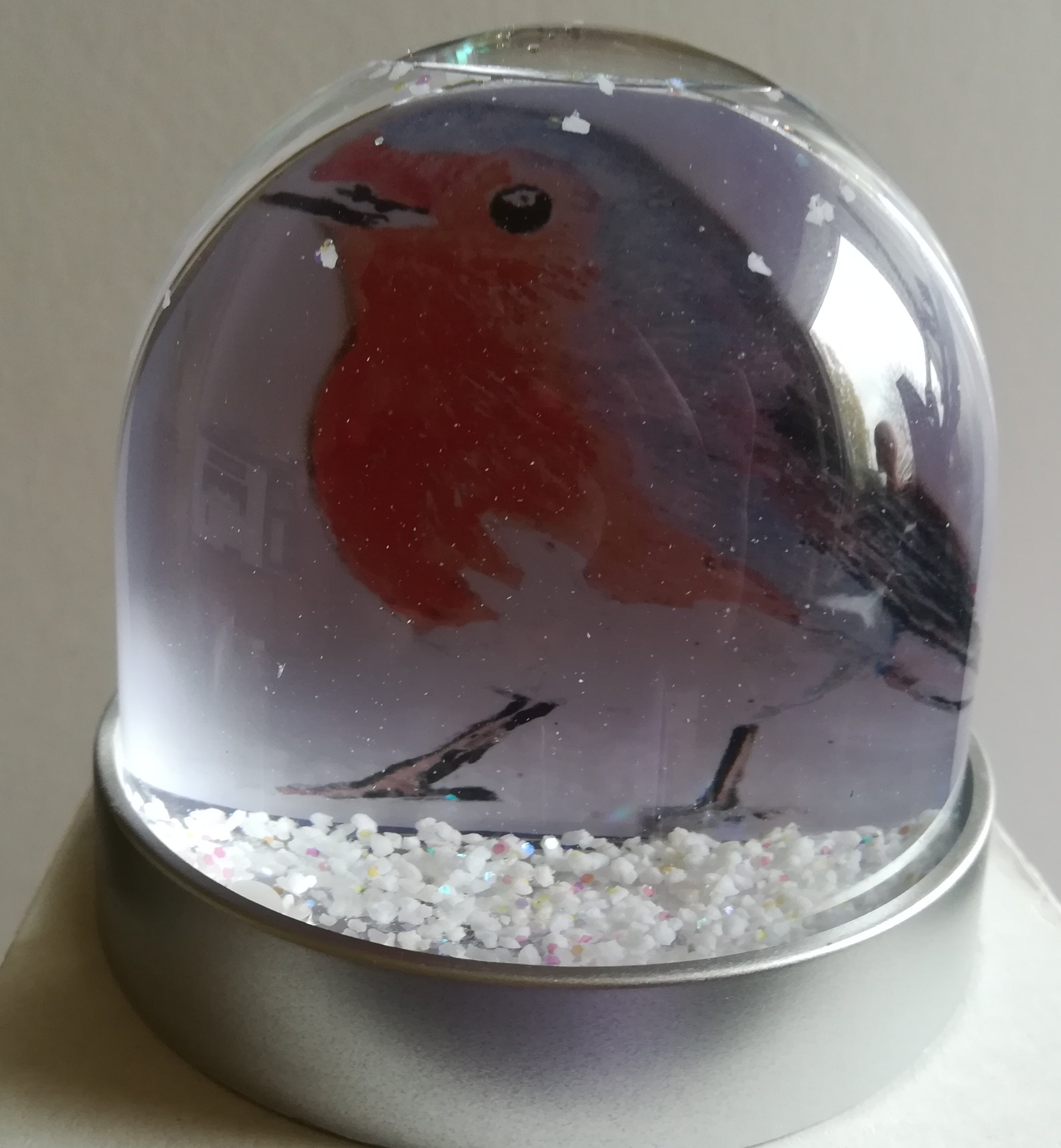 Snow Globe - Robin Snow Globe - Etsy UK