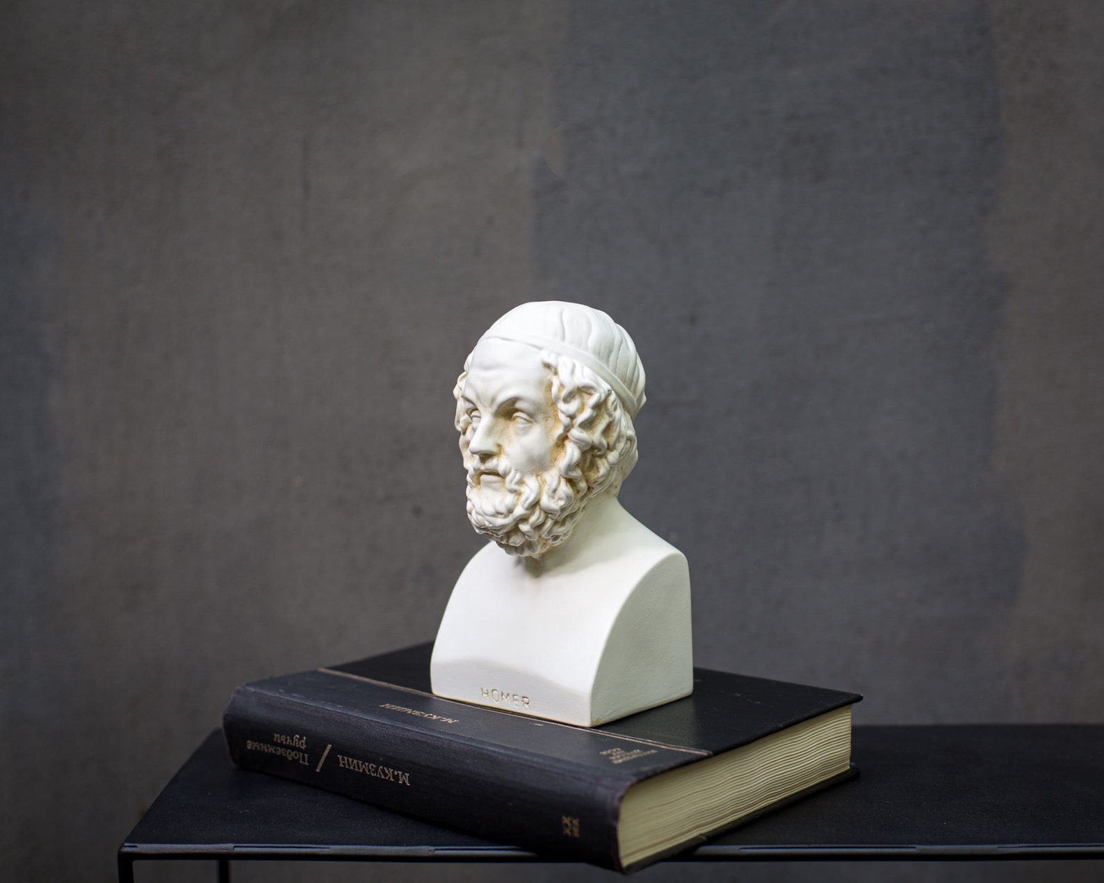 Homer Bust Sculpture | Single Plaster Bookend - Etsy