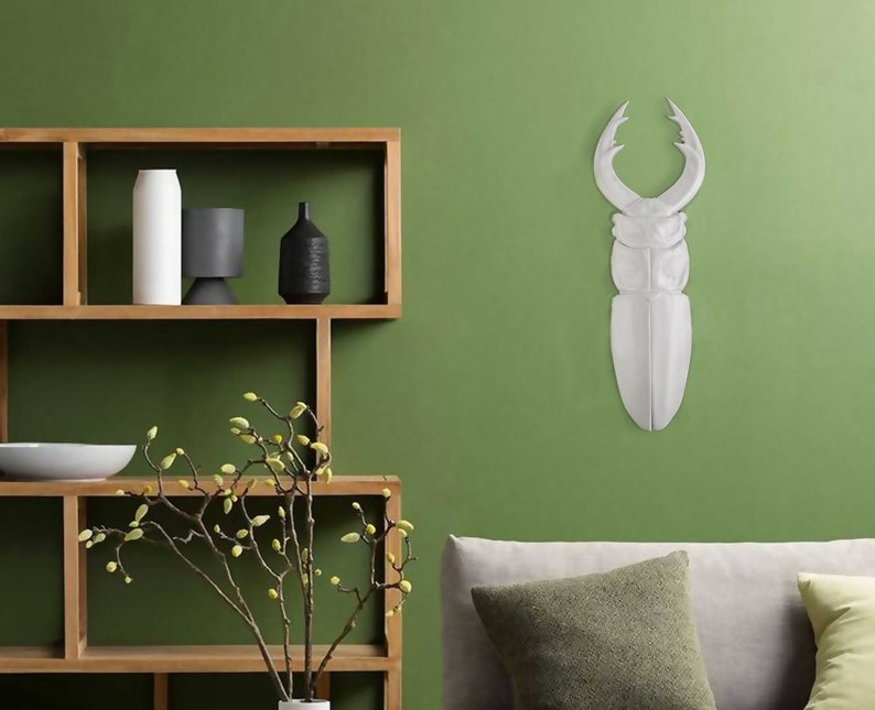 Faux Insect Taxidermy Beetle // Bug Wall Art // Urban Jungle | Etsy