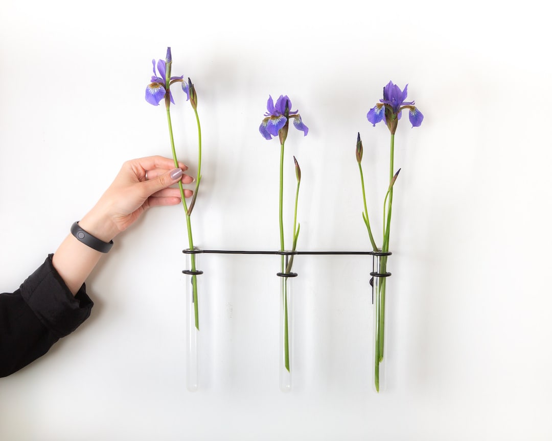 Minimalist Style Wall Flower Vase, Wireframe Construction. - Etsy