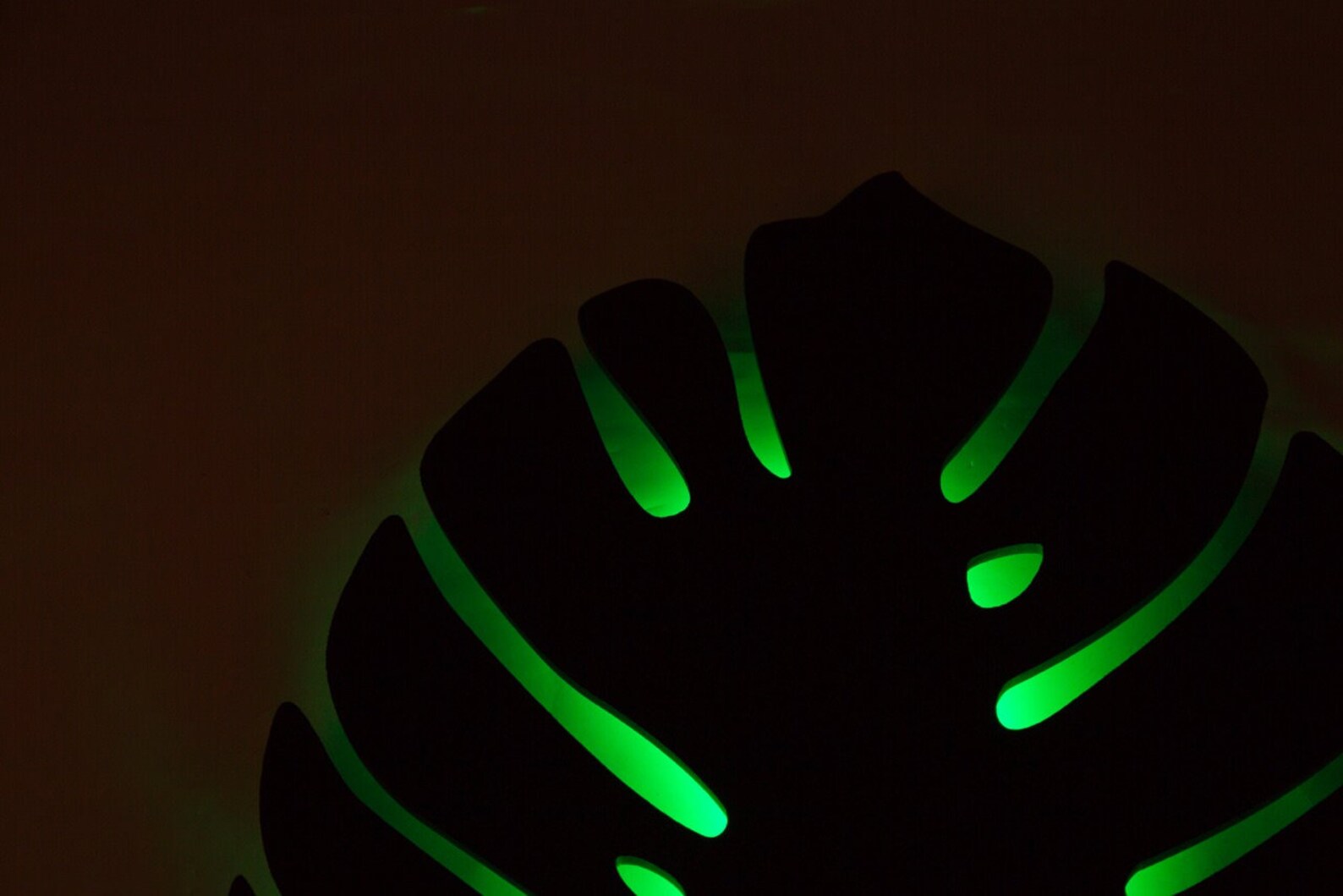 Monstera Green LED Wall Light Up - Etsy