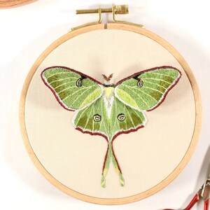 Luna Moth Embroidery Pattern, Stumpwork Embroidery Pattern, 3D Insect ...