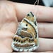 3D Moth Embroidery Pattern: Stumpwork & Thread Painting (PDF Pattern ...