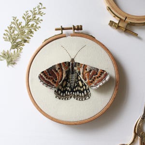 3D Moth Embroidery Pattern: Stumpwork & Thread Painting (PDF Pattern ...