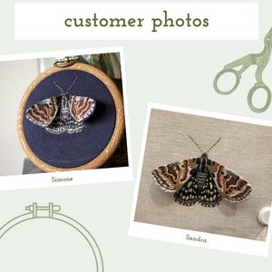 3D Moth Embroidery Pattern: Stumpwork & Thread Painting (PDF Pattern ...