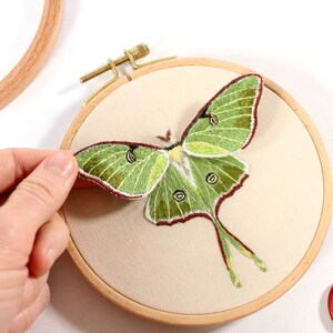 Luna Moth Embroidery Pattern, Stumpwork Embroidery Pattern, 3D Insect ...