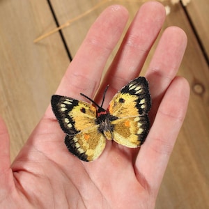 3D Stumpwork Butterfly Embroidery Pattern PDF, Bug Insect Thread ...