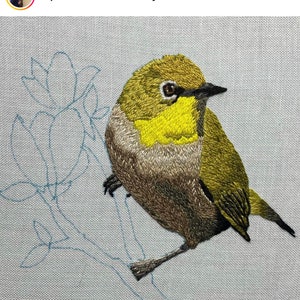 Bird Hand Embroidery Pattern, Thread Painting PDF - Etsy