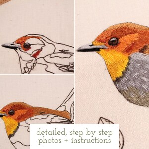 Robin Thread Painting Embroidery Pattern - Etsy
