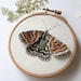 3D Moth Embroidery Pattern: Stumpwork & Thread Painting (PDF Pattern ...