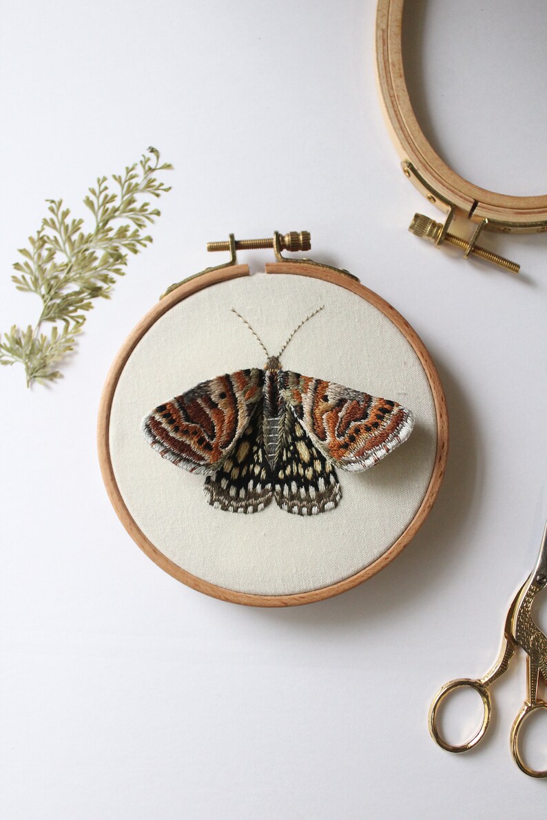 3D Insect Thread Painting Embroidery Pattern Stumpwork - Etsy