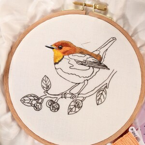 Robin Thread Painting Embroidery Pattern - Etsy
