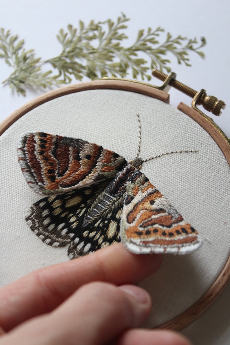 3D Insect Thread Painting Embroidery Pattern Stumpwork - Etsy