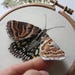3D Moth Embroidery Pattern: Stumpwork & Thread Painting (PDF Pattern ...