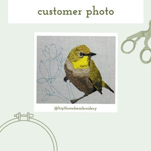 Bird Hand Embroidery Pattern, Thread Painting PDF - Etsy